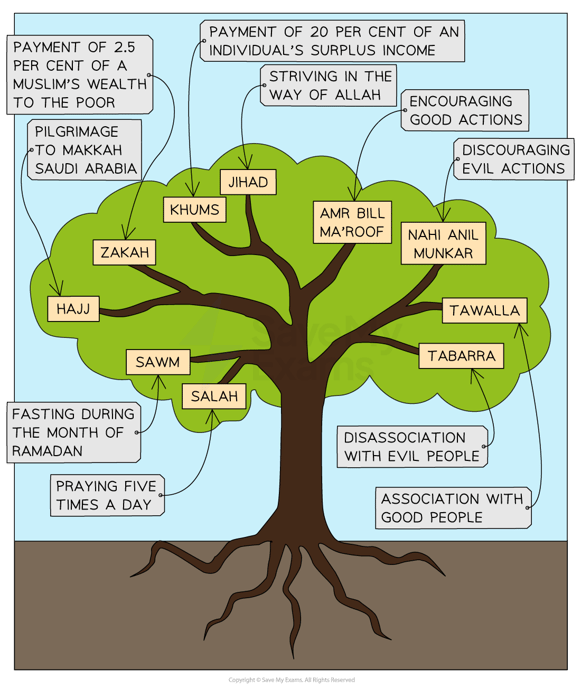 2.4.1 Worship in Sunni & Shi'a Islam | AQA GCSE Religious Studies ...