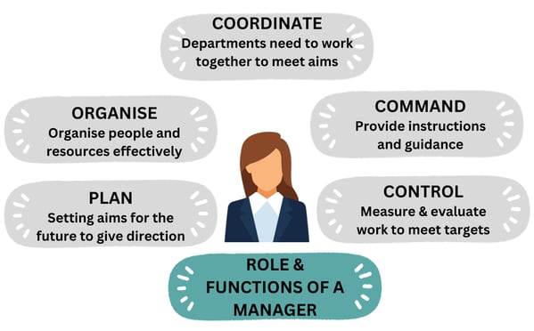 The Role of Management | CIE IGCSE Business Revision Notes 2023 | Save ...