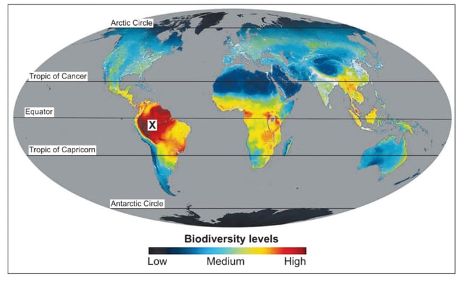 Ecosystems | AQA GCSE Geography Revision Notes 2018