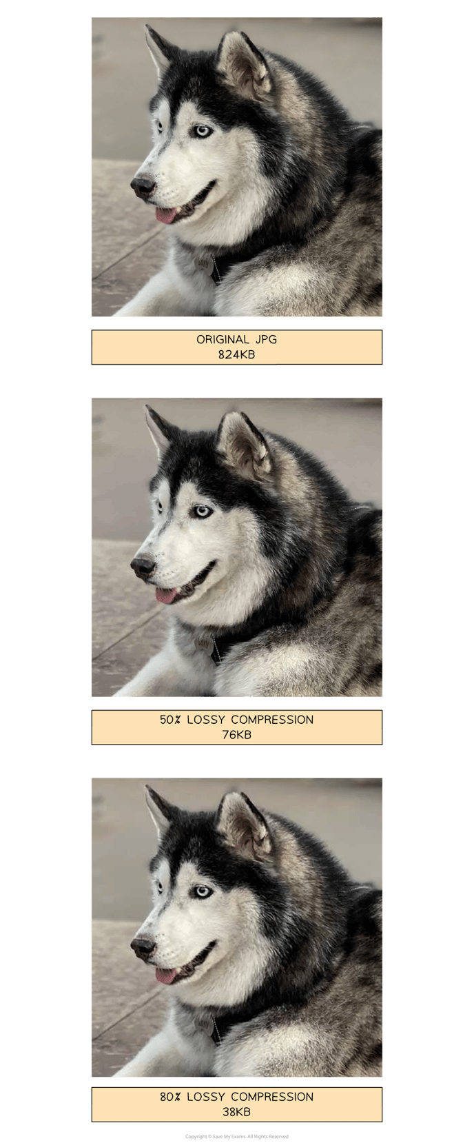 Compression | OCR GCSE Computer Science Revision Notes 2022 | Save My Exams