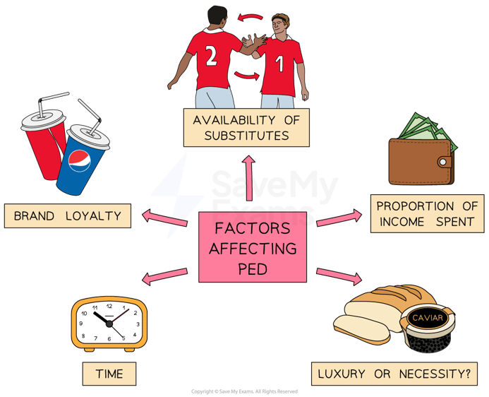 Price: The Significance of Price Elasticity of Demand | CIE IGCSE ...