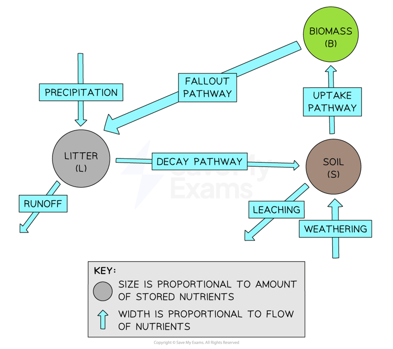 Characteristics of Cold Environments | AQA A Level Geography Revision ...