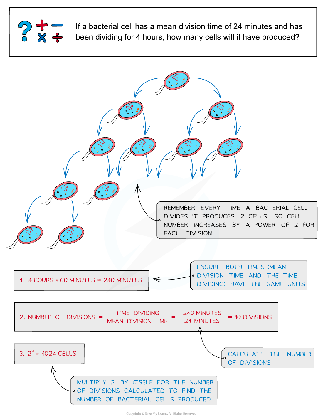 Culturing Microorganisms | AQA GCSE Biology Revision Notes 2018