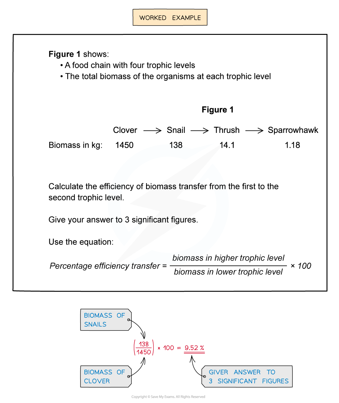 Transfer of Biomass | AQA GCSE Biology Revision Notes 2018