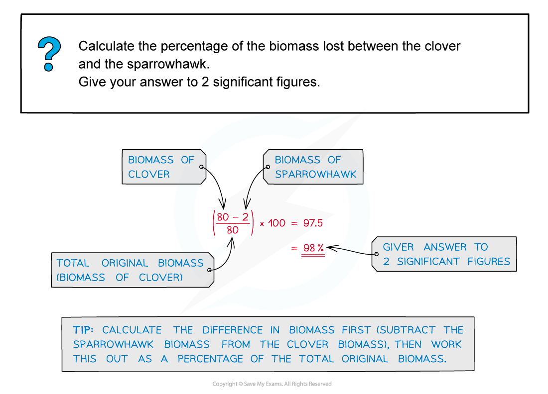 Pyramids of Biomass | AQA GCSE Biology Revision Notes 2018