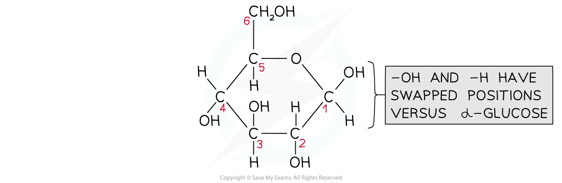 Skills: Molecules | DP IB Biology: HL Revision Notes 2016