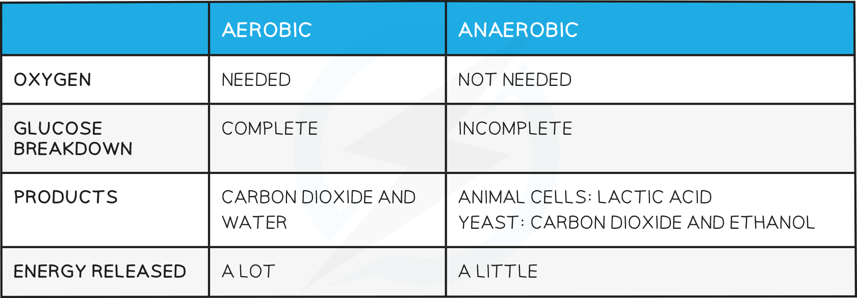 Anaerobic Respiration Equation Gcse