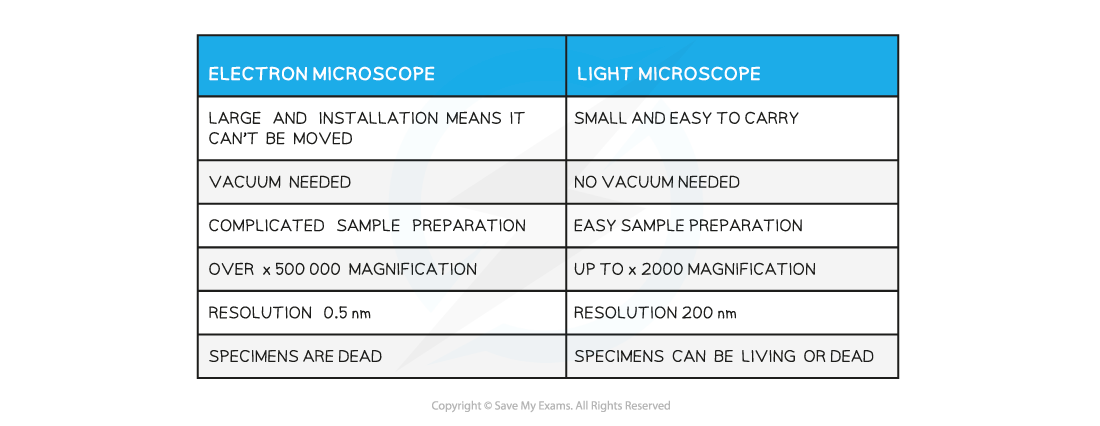 Comparison Of Light Microscope And Electron Microscopes Used Together ...