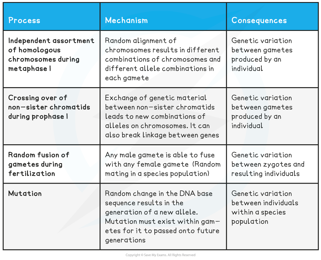 Gcse Aqa Genetic Variation Environmental Genetic New (9 1) AQA GCSE