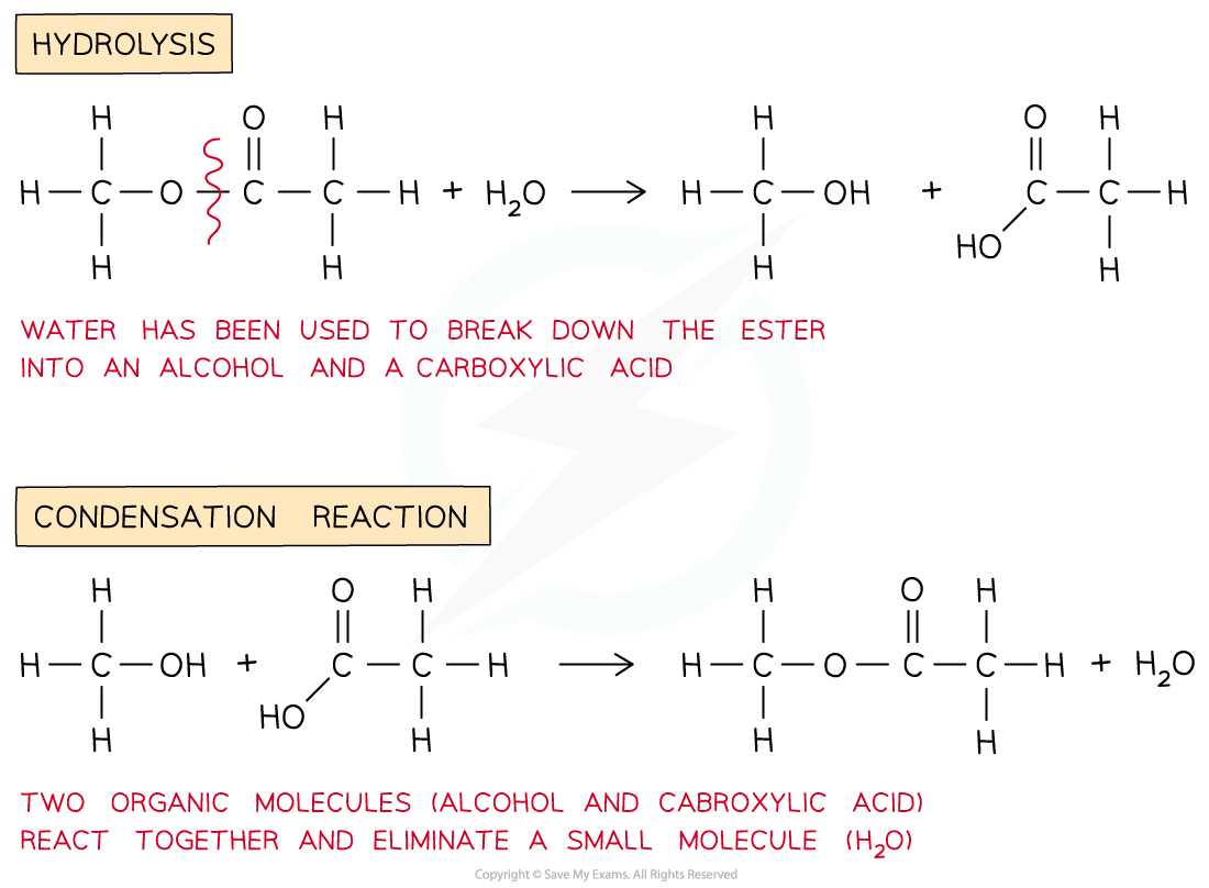 Organic Chemistry Reaction Rules