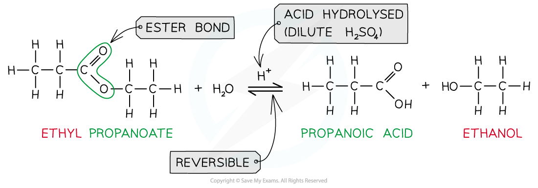 Reversible Equation For The Esterification And Hydrolysis Of Glyceryl ...