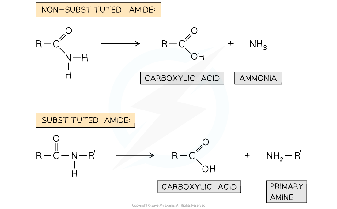 Cyclic Amide Hydrolysis
