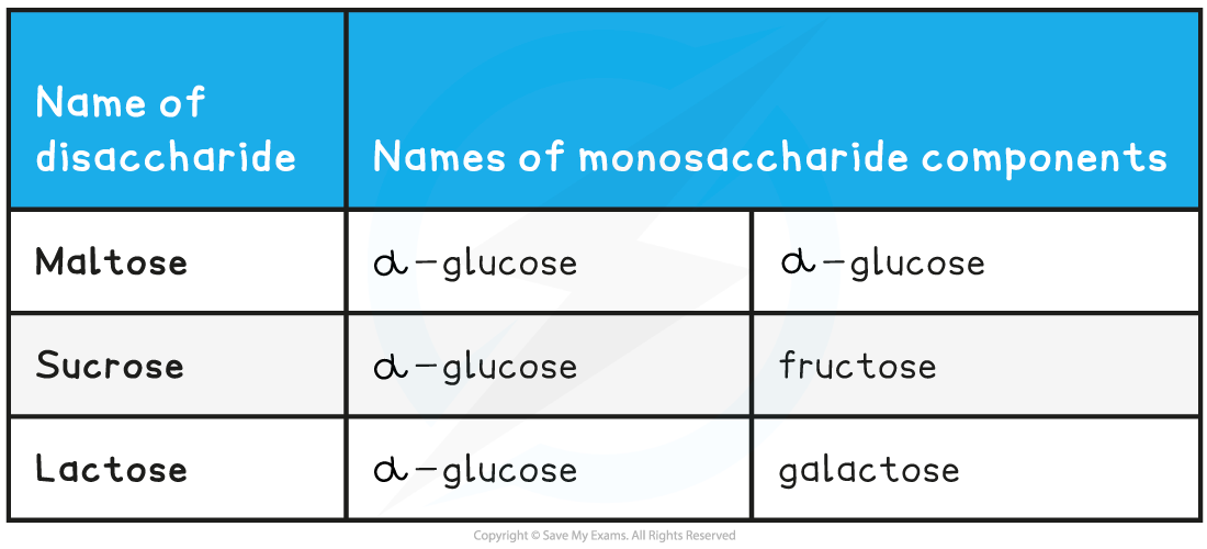 Disaccharide Examples Of Carbohydrates What Are Some Examples Of Foods