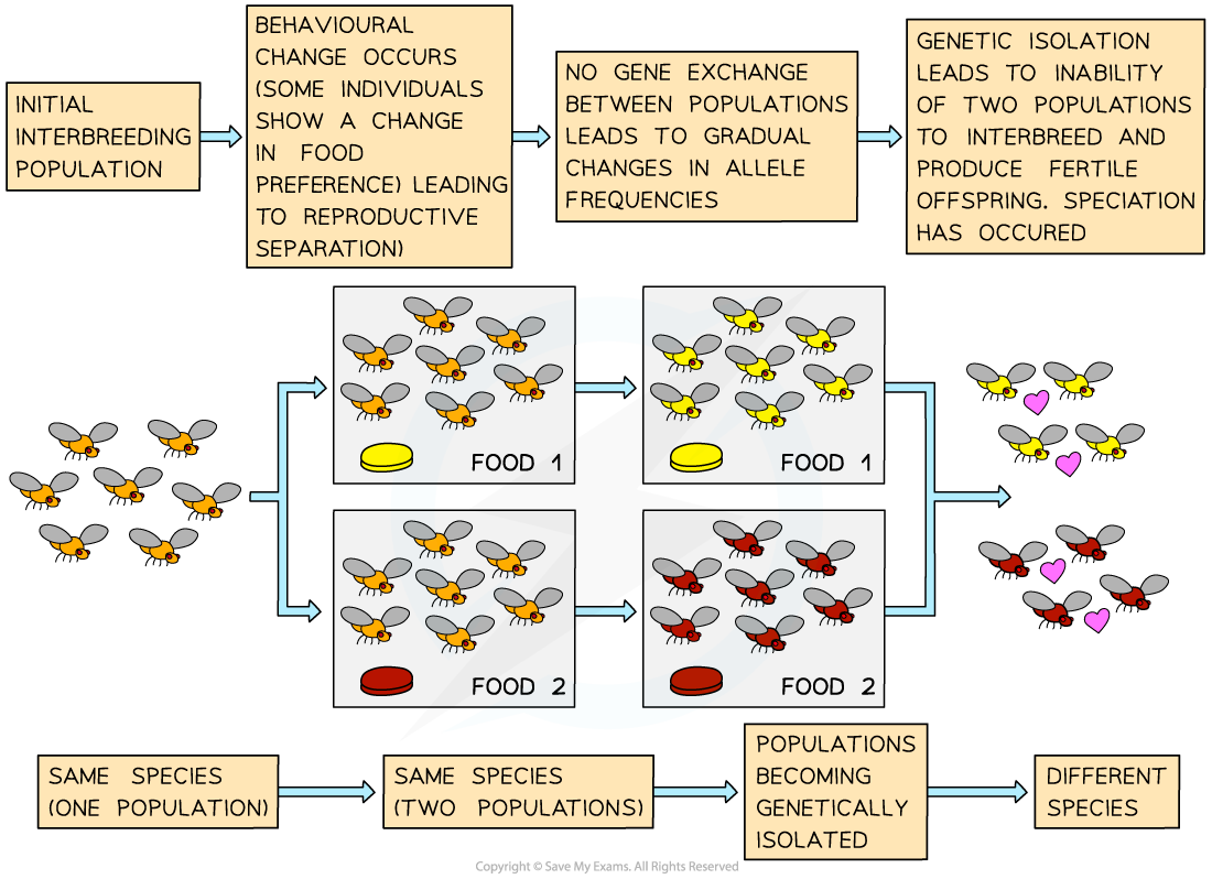 Reproductive Isolation Mechanisms