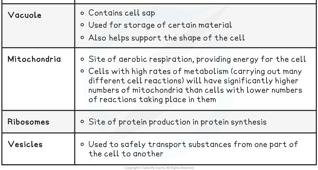 Cell Structure And Function Cell Biology Notes Teaching