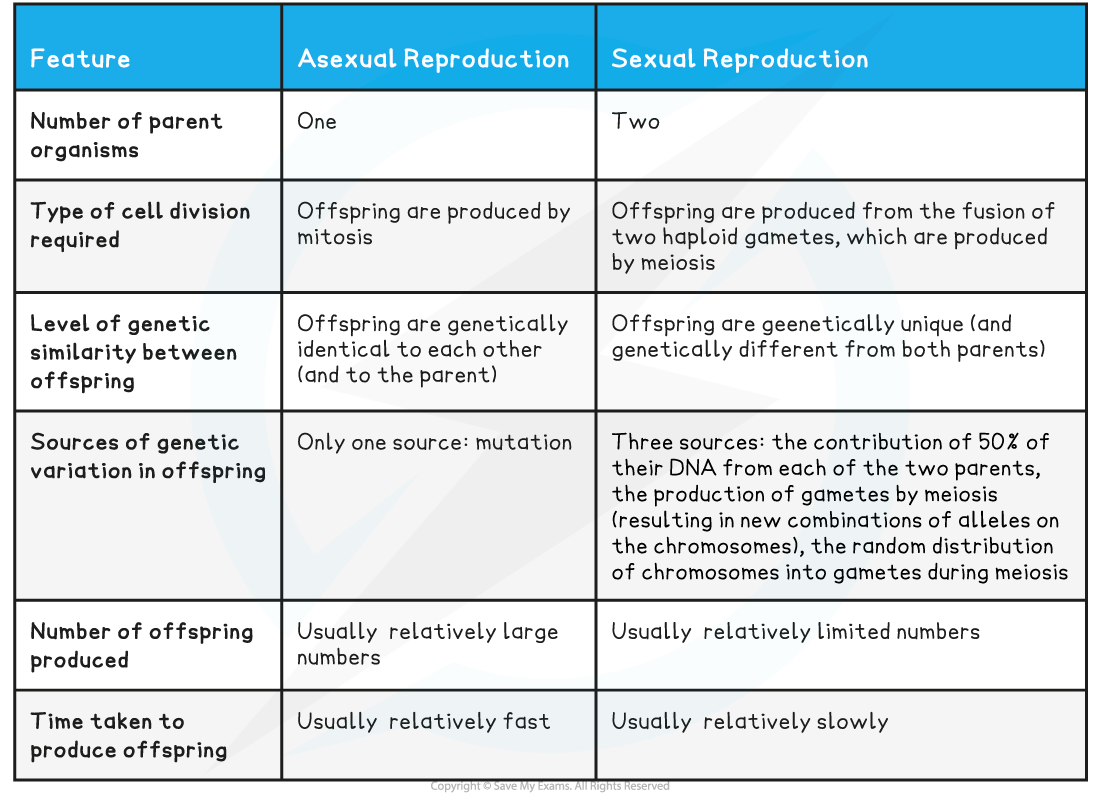 Reproduction In Organisms Gcse Biology Revision Notes Communities