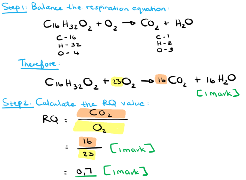 Energy Cie A Level Biology Exam Questions 2025