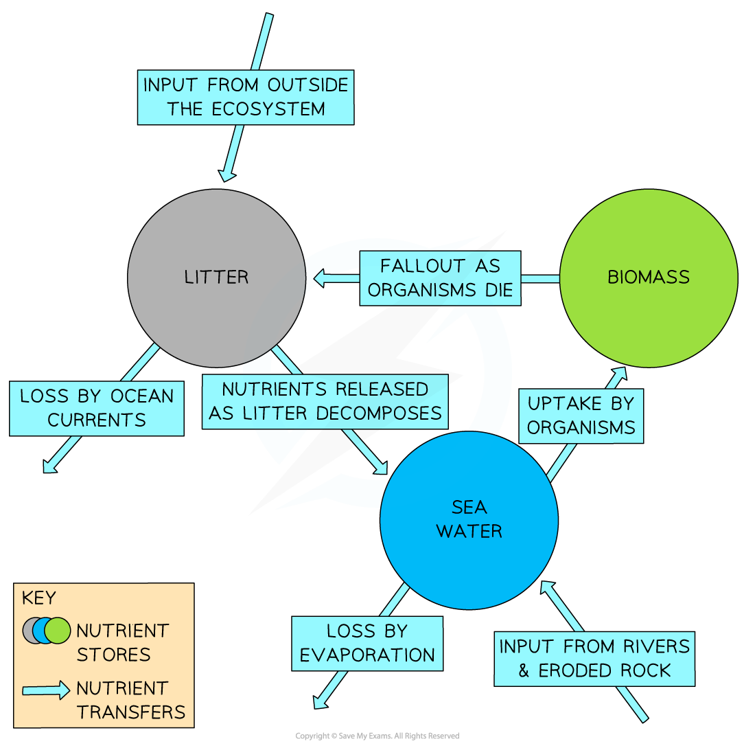 Igcse Ecosystems Powerpoint