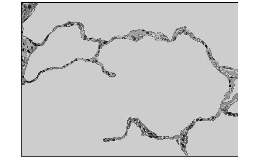 Energy Cie A Level Biology Exam Questions 2025