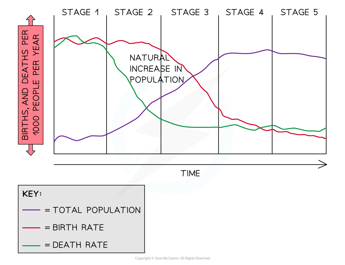 Demographic Transition Model Worksheet Population & Migration Junior