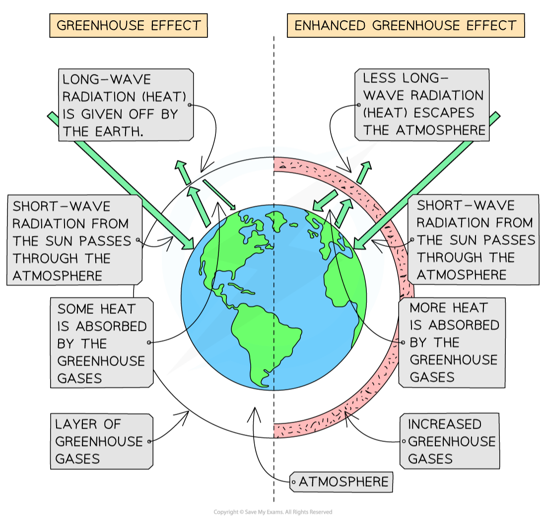Greenhouse Effect Diagram Worksheet Greenhouse Effect Diagram | TPT