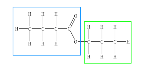 Propyl Butanoate Structure Diagram