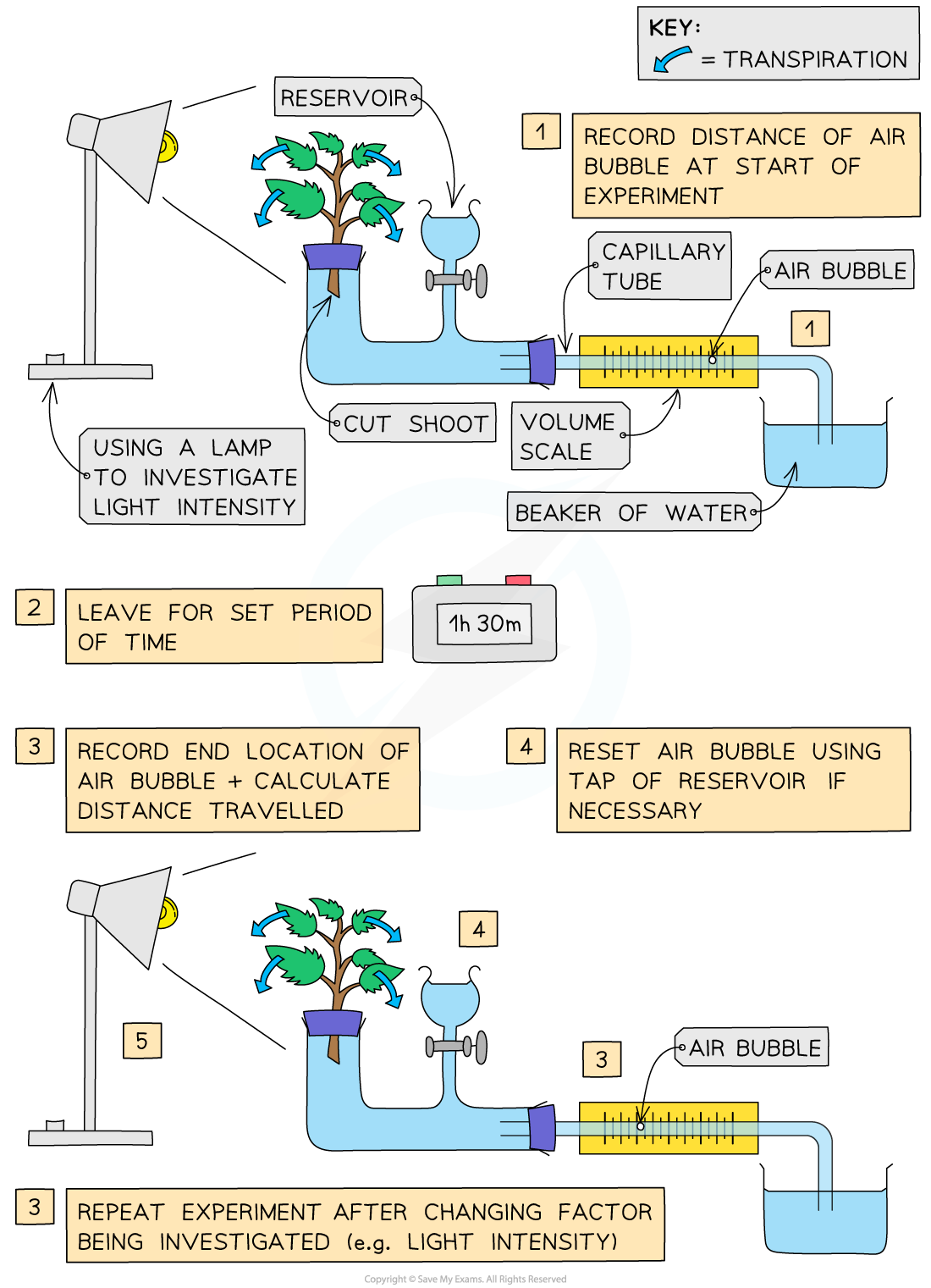Transpiration Definition Biology Transpiration Osmosis And Plant