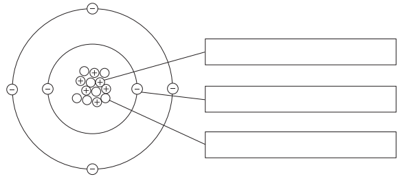 Unlabeled Atom Lab Activity: The Flower Dissection Vieterre