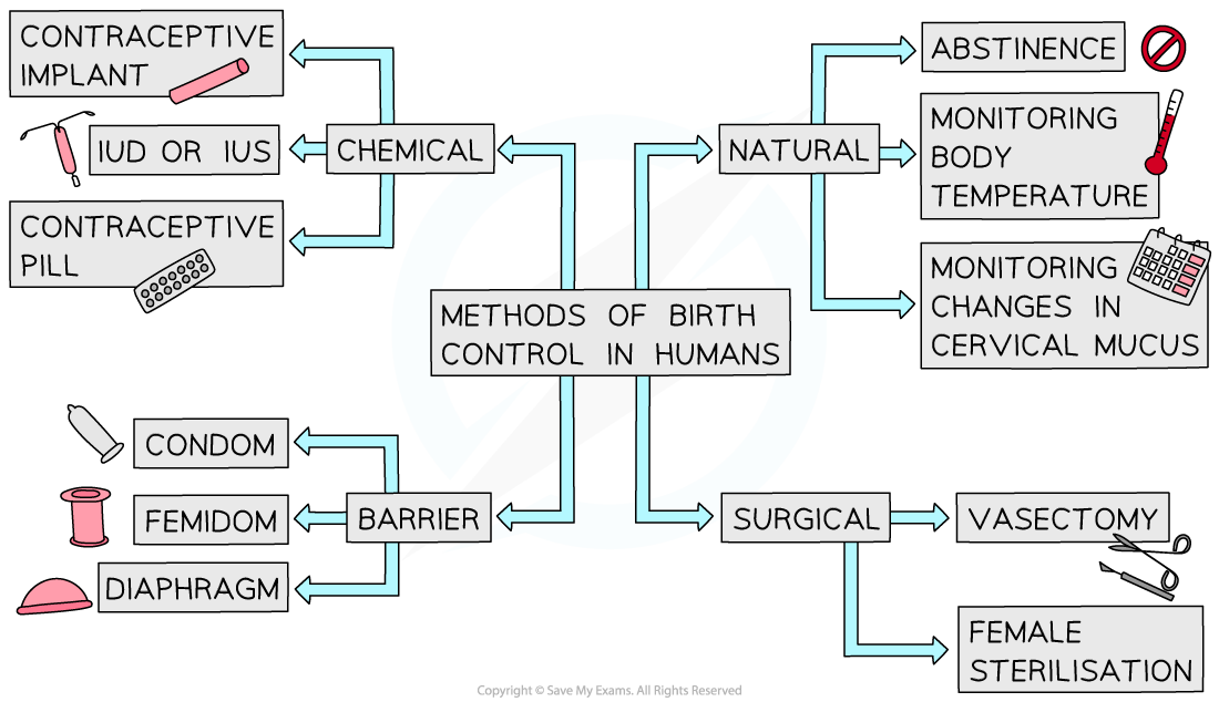 Female Contraception Choices