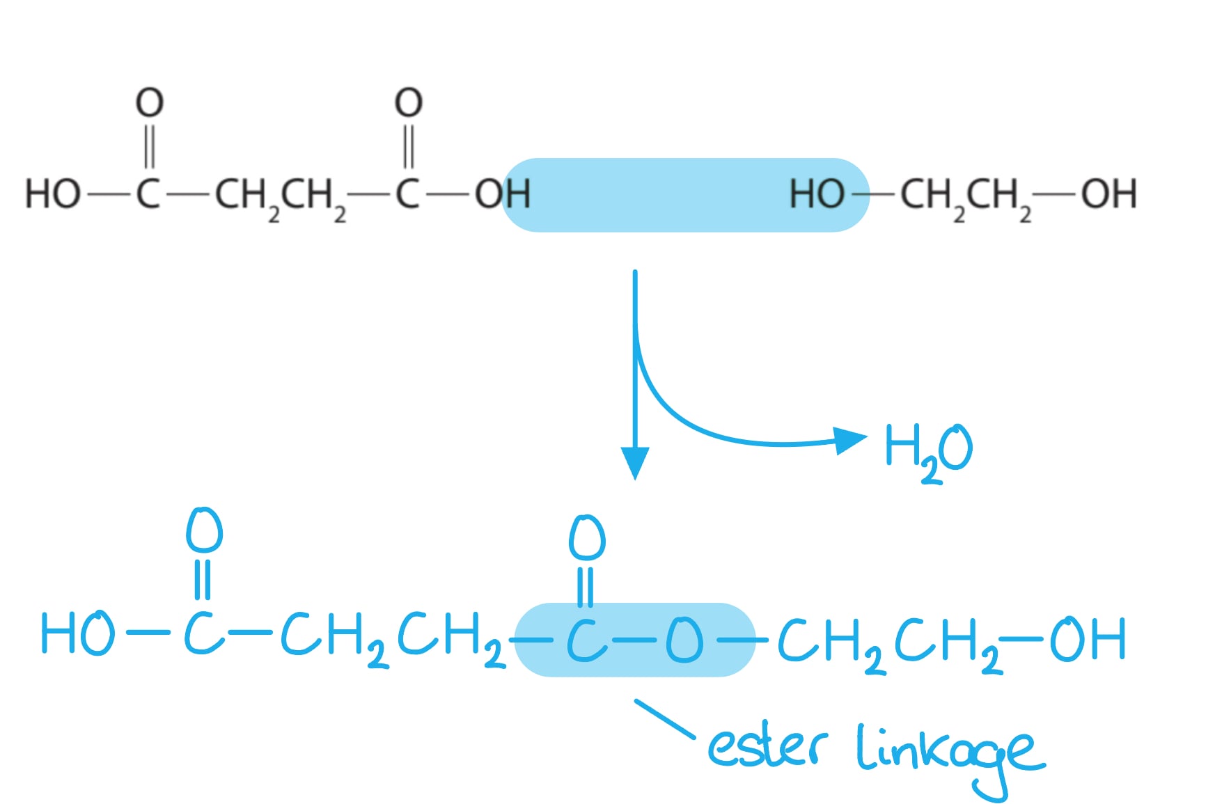 Igcse Chemistry 5c Synthetic Polymers Organic Chemistry | PDF