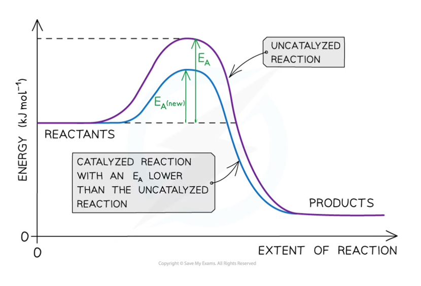 Catalyst Reaction Diagram Effect Of Catalyst On The Rate Of A