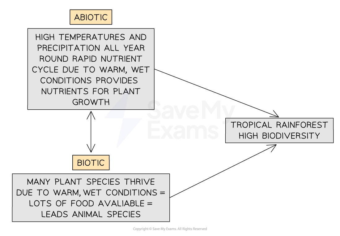 Tropical Rainforests Gcse Geography Revision Notes