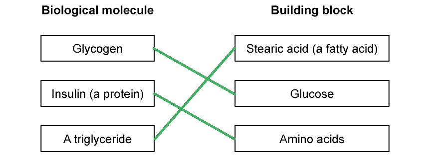 Igcse Biological Molecules Worksheet AQA Biology: 1 Biological