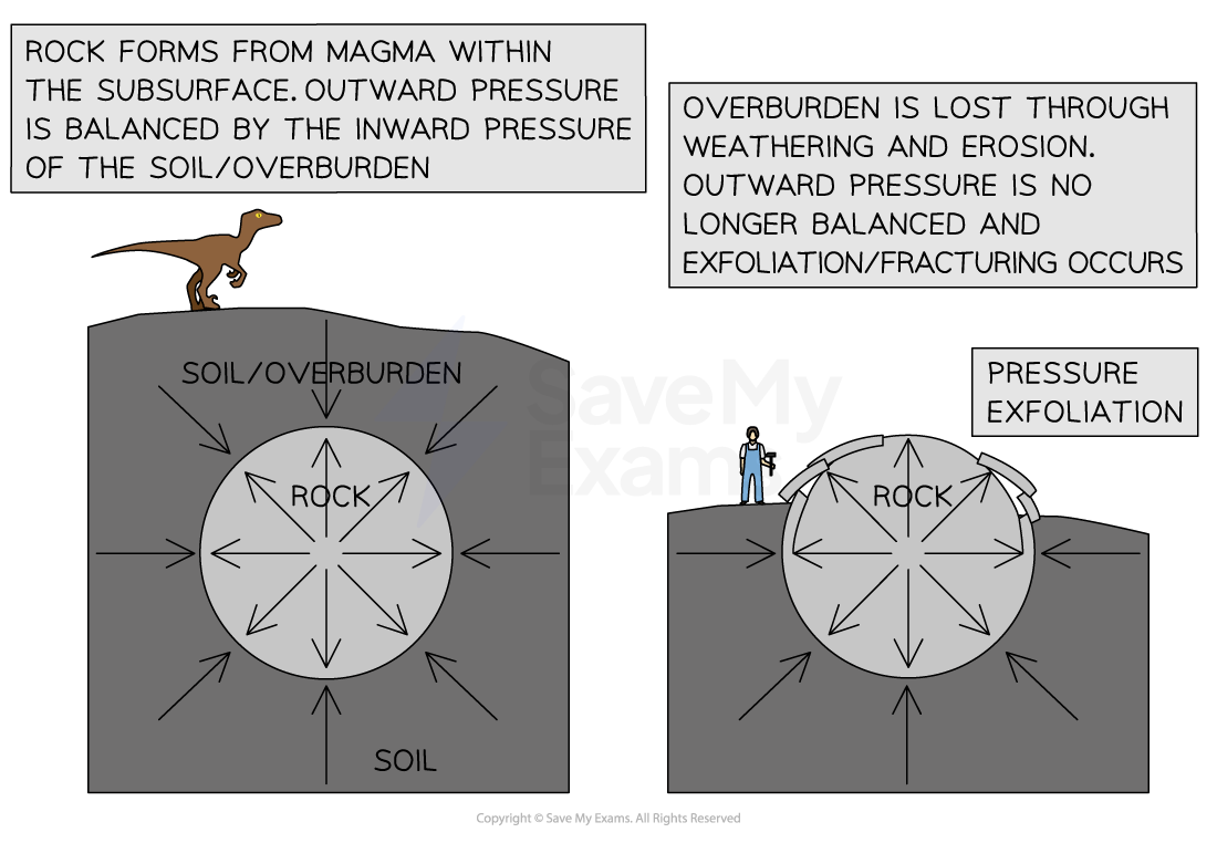 Exfoliation Diagram 4,800+ Exfoliation Stock Illustrations,