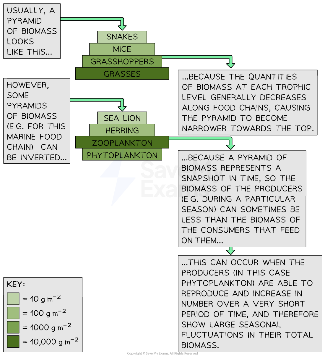 Pyramid Of Productivity Pyramid Of Biomass Definition, Types,