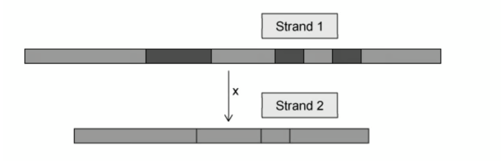 Nucleic Acid Mcq Protein Synthesis Questions And Answers