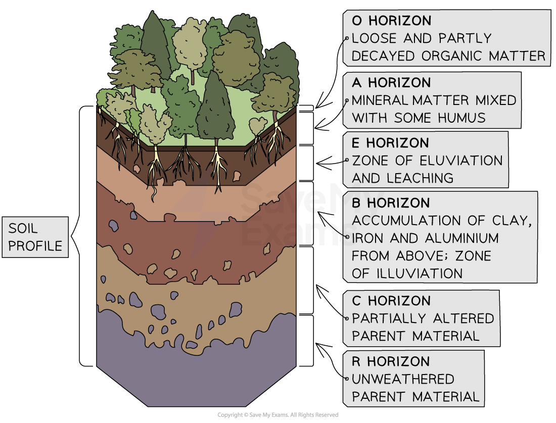 Soil Structure Horizon