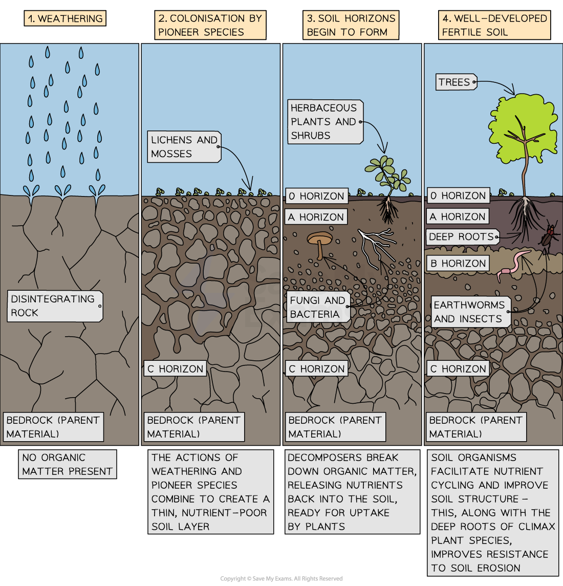 Soil Structure Horizon