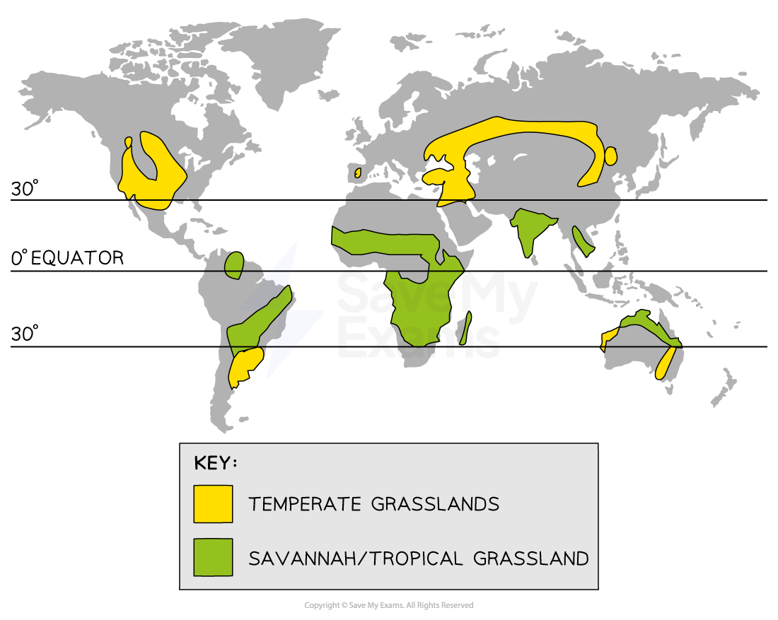 Savannah Grassland Geography Global Tipping Points | 1.3.2.4 Savannas