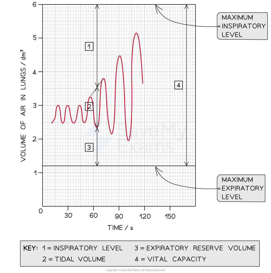 Determination Of Tidal Volume And Vital Capacity Labmonk Total Lung