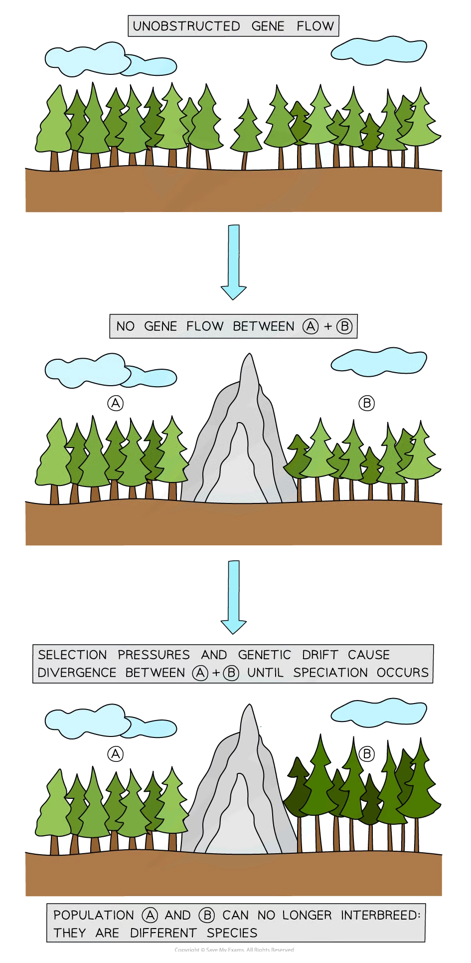 Sympatric Speciation