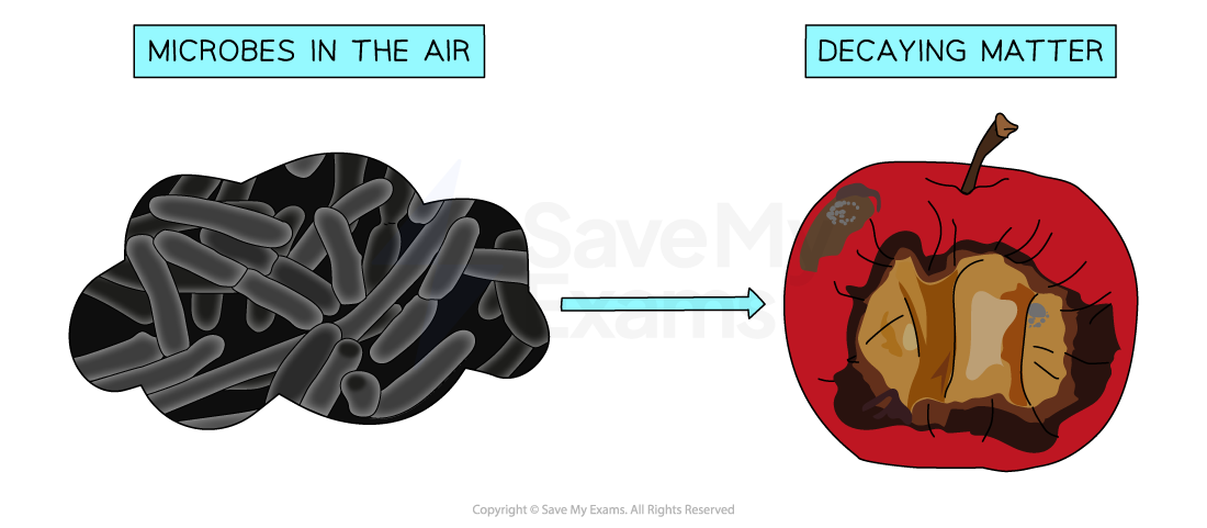 Louis Pasteur Spontaneous Generation And Germ Theory Louis Pasteur