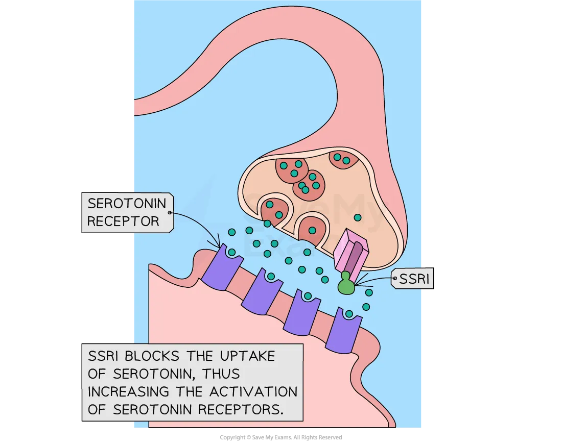 Antagonists Vs Agonists Frontiers | Multitargeting Nature Of
