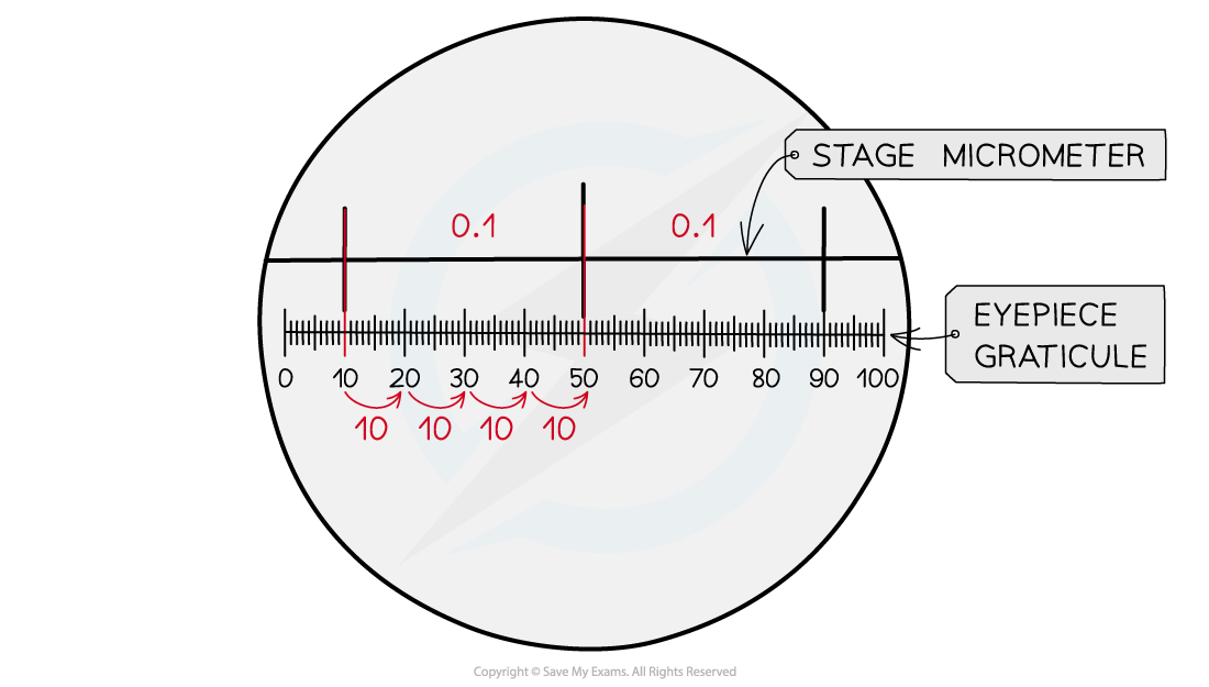 Micrometer Unit
