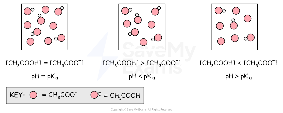Henderson Hasselbalch Equation Microbe Notes
