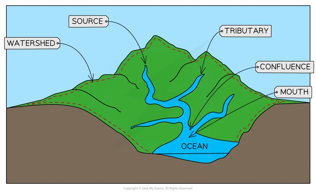 Tributary Diagram