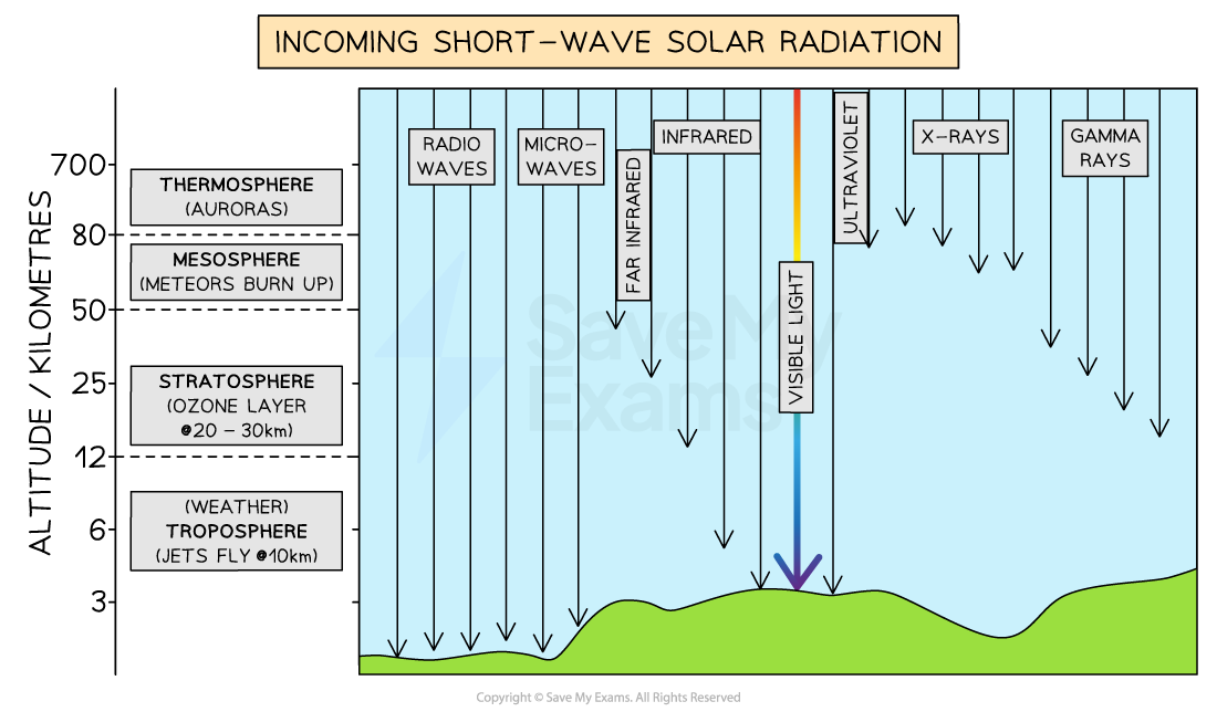 Atmosphere Notes Coral Perfumes With This New Scent, You Can Now