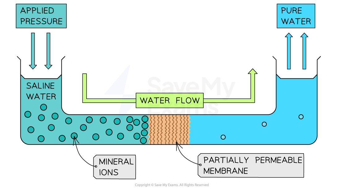 Osmosis Diagram Gcse