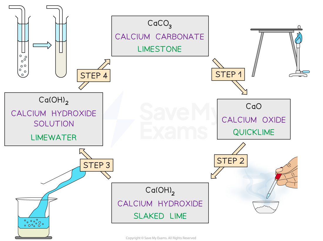 Calcium Cycle Diagram