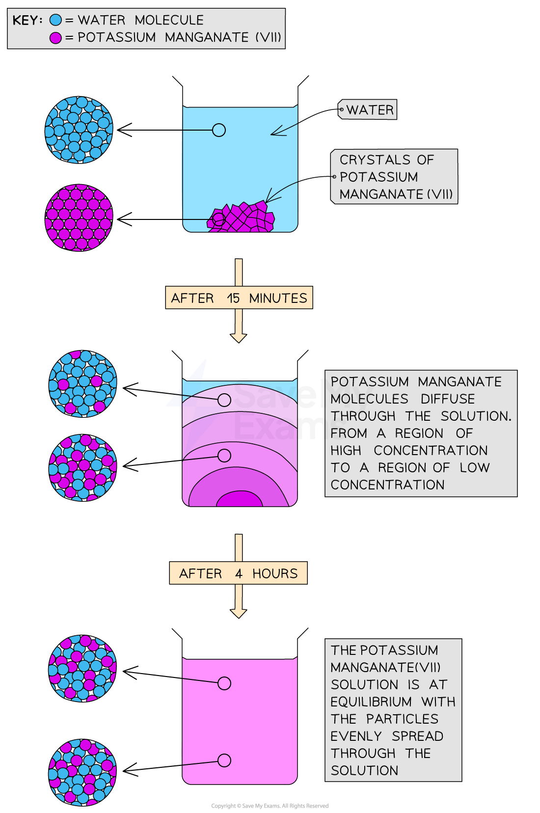 Diffusion Experiment